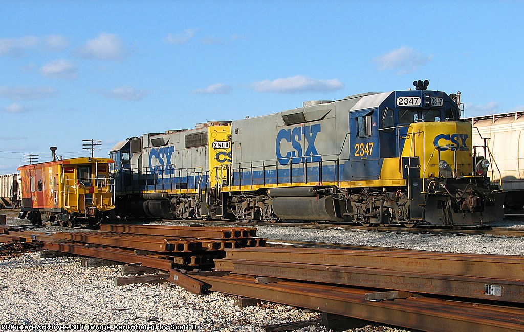 LOCAL Sits In The Yard